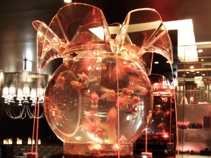 NEW CLUB Kingyo（キンギョ）(国分町)・口コミ【夜遊びショコラ】lll